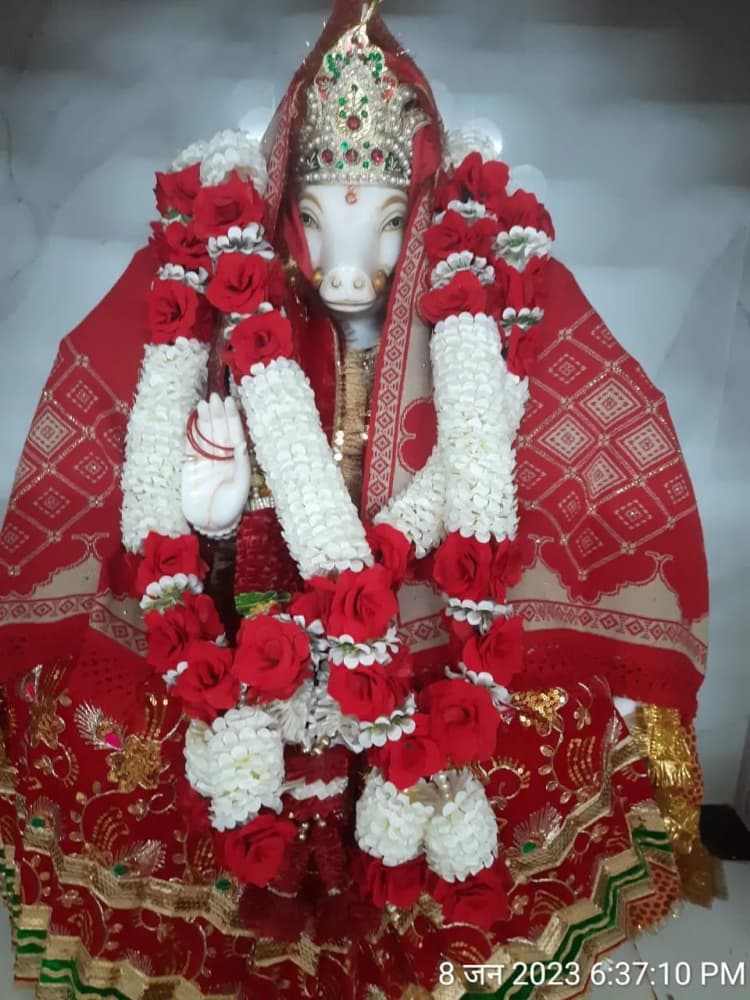 Varahi Mata Mandir, Uttarakhand - Puja For Wealth & Career Growth